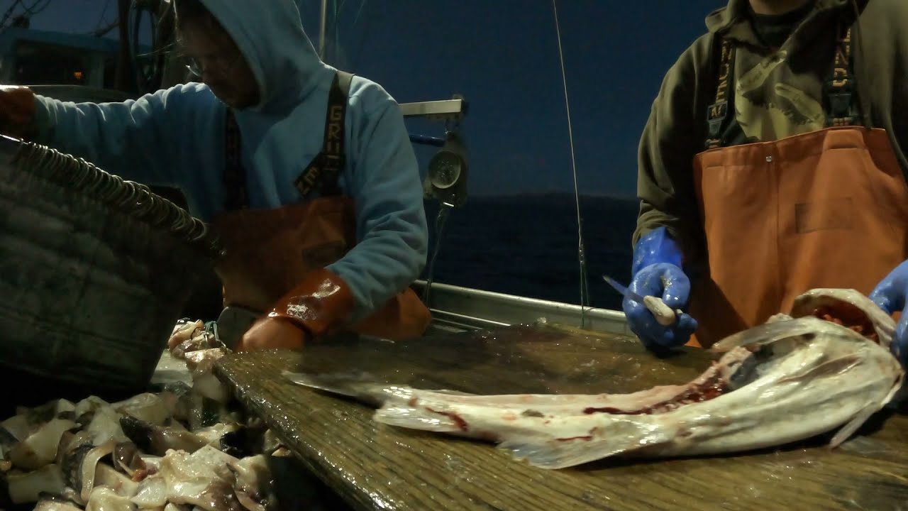 We Bait, We Set, We Haul! - Halibut Longlining in Alaska - YouTube