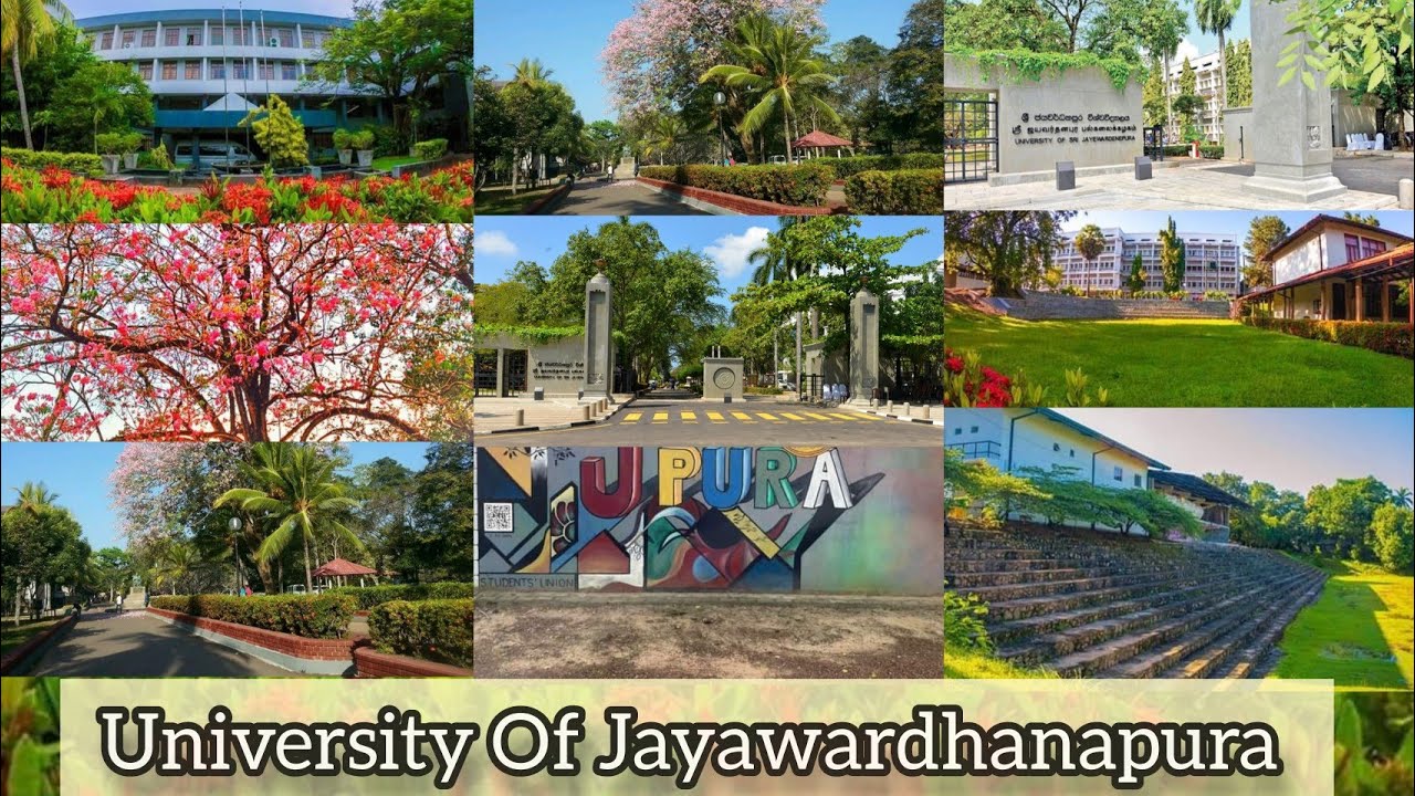ශ්‍රී ජයවර්ධනපුර විශ්වවිද්‍යාලය |University Of Jayawardhanapura #japura ...