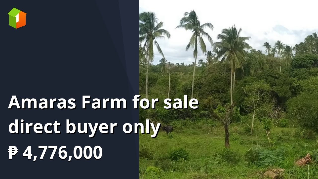 Amaras Farm for sale direct buyer only - YouTube