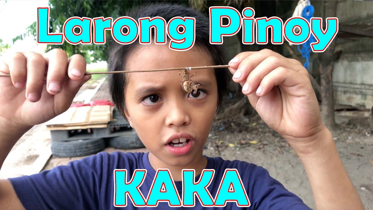 KAKA - Spider fighting - YouTube