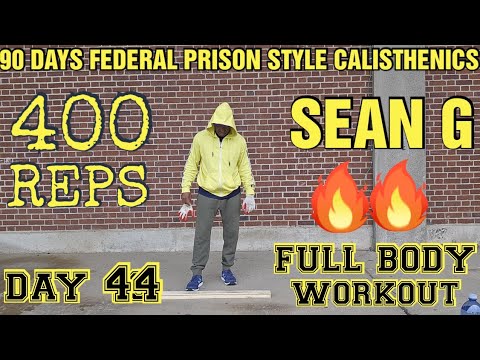 90 DAYS FEDERAL PRISON STYLE CALISTHENICS TRAINING PROGRAM - 400 REPS ...