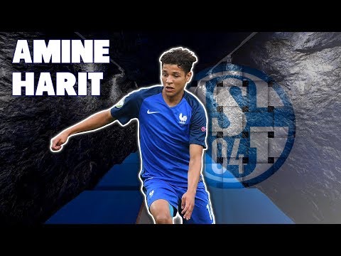 AMINE HARIT | Welcome to Schalke - Amazing Skills, Tricks, Passes & Goals - 2017 (HD)