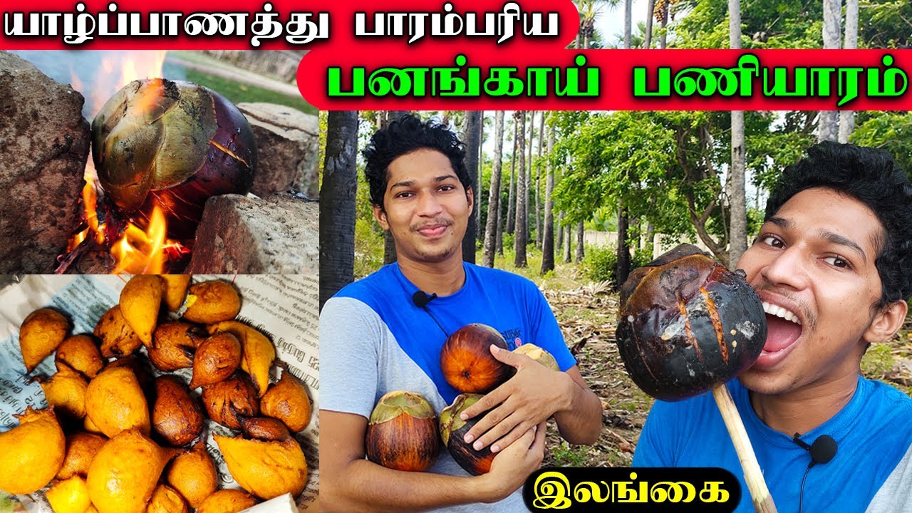 Jaffna Style Panangai paniyaram | Palmyra Fruit Juice | சுட்ட😜 ...