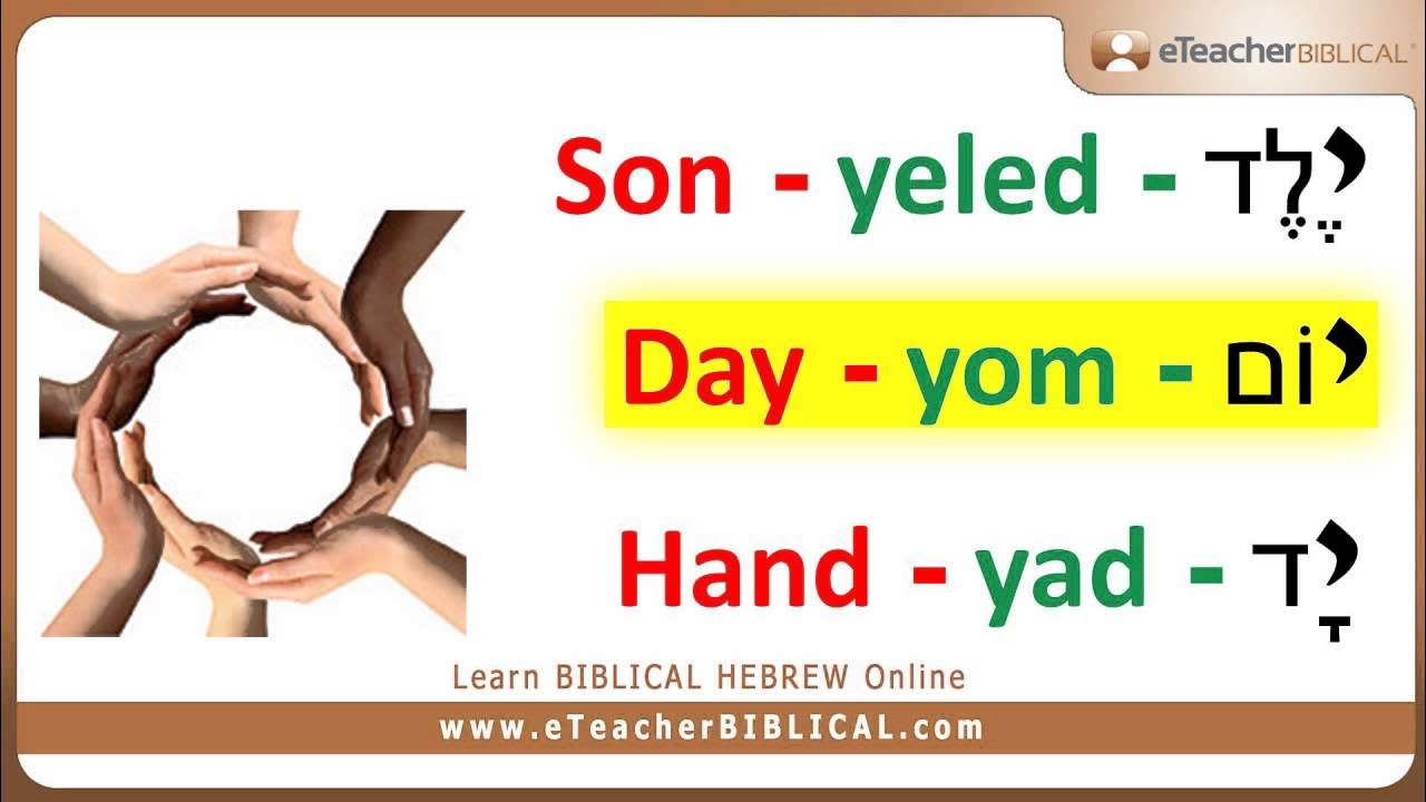 Learning the Hebrew alphabet - Tet to Lamed- eTeacherBiblical - YouTube