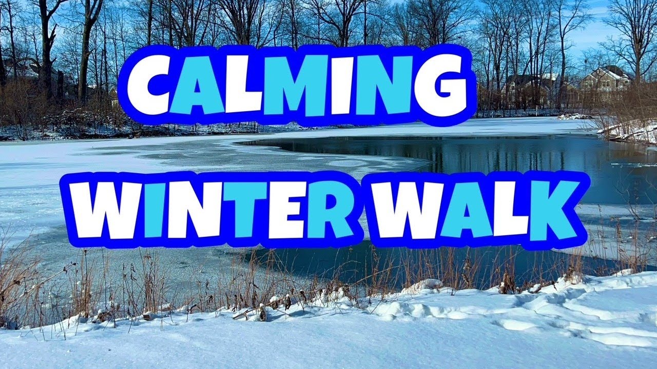 Calming Winter Walk thru the Snow | Relaxing and Peaceful | Feb 2025 ...