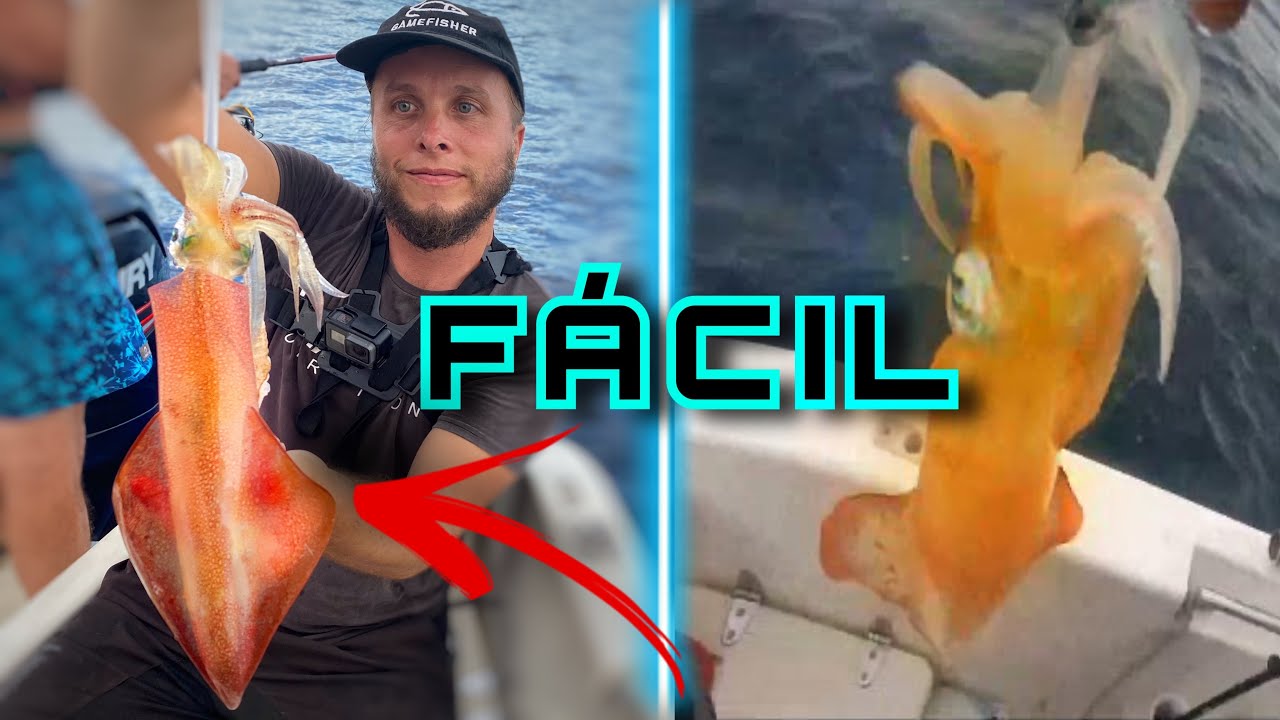 SI QUIERES PESCAR CALAMARES ENTONCES PESCA CON ESTA TÉCNICA PARA ESTAS ...