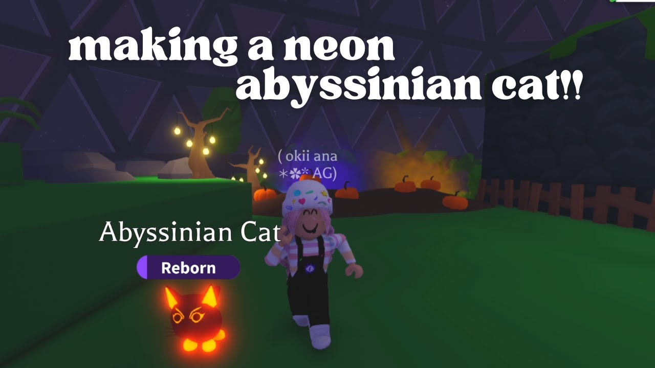 Making a Neon Abyssinian Cat!! 🖤 adopt me 🧡 - YouTube
