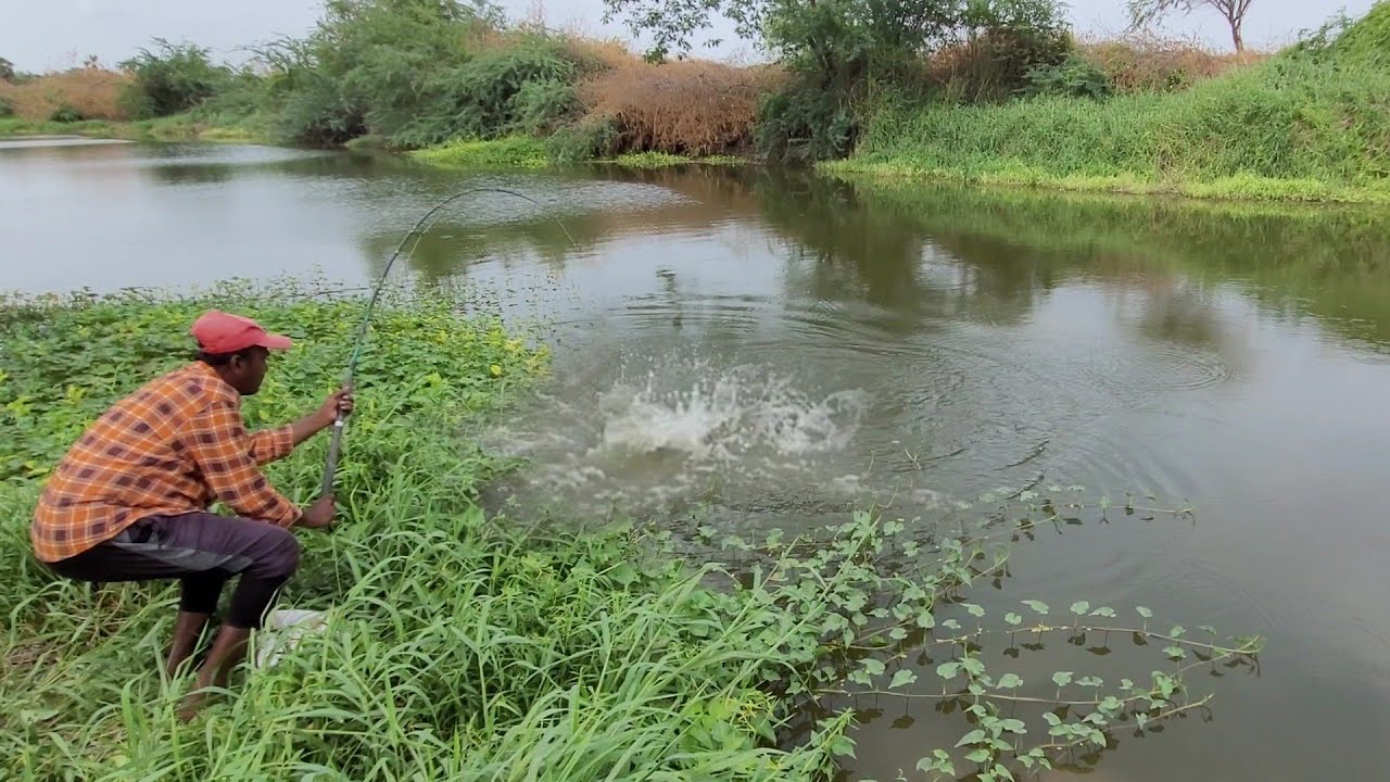 New DIFFERENT LOCATIONS 🎣 Fishing Techniques by Rohu Fishes Hunting in ...
