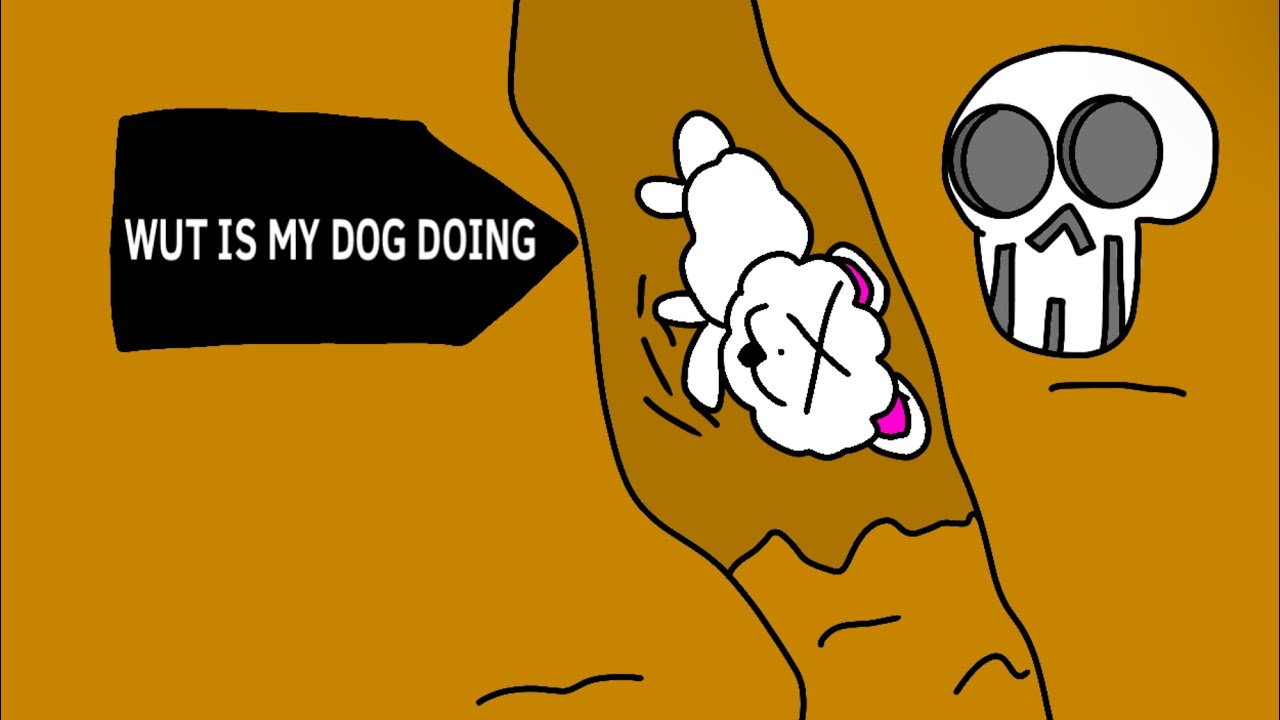 Wut is my dog doing - YouTube