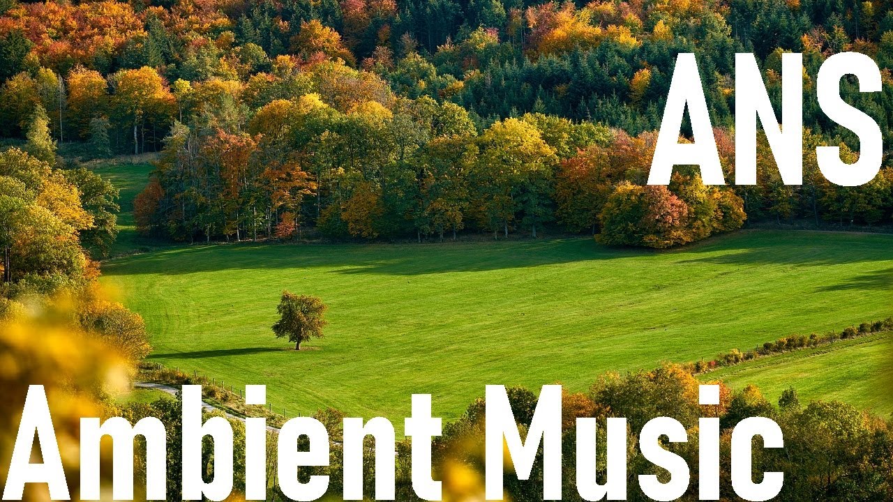 Scenes of nature and Ambient Music Art Nature Sound - YouTube