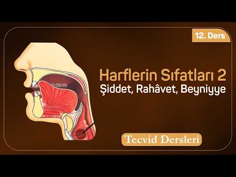 Harflerin Sıfatları 2 | Şiddet, Rahâvet ve Beyniyye | Tecvid Dersleri 12