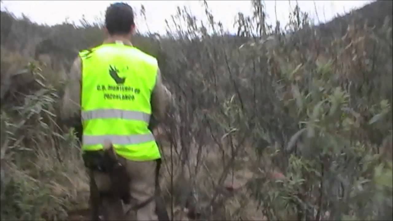 monteando con recovas EL PORTON 2014 1º - YouTube