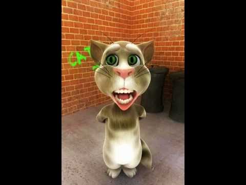 Talking Tom cat pink panther - YouTube
