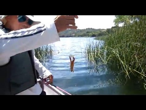 How To Catch Crawfish with a Fishing Pole - YouTube