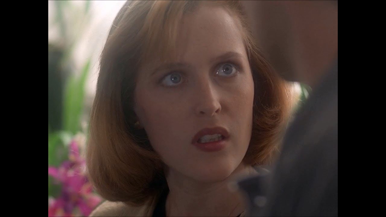 The X-Files Paper Clip Episode Mixing human DNA with Aliens 1995 - YouTube
