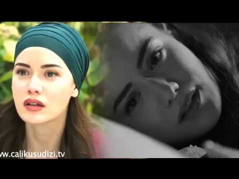 Multifandom/ Kimse Gerçekten Sevmez Kimseyi