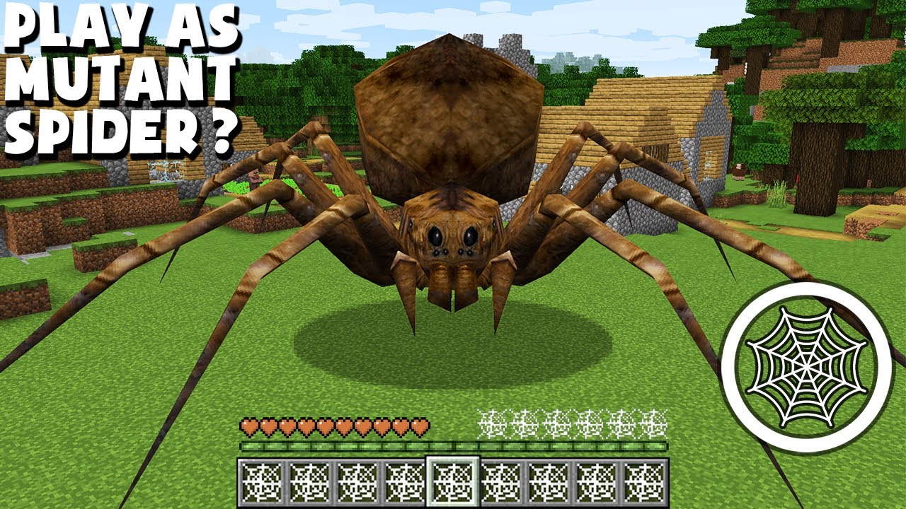 I PLAY as MUTANT SPIDER in MINECRAFT! Trolling as Real Spider ...