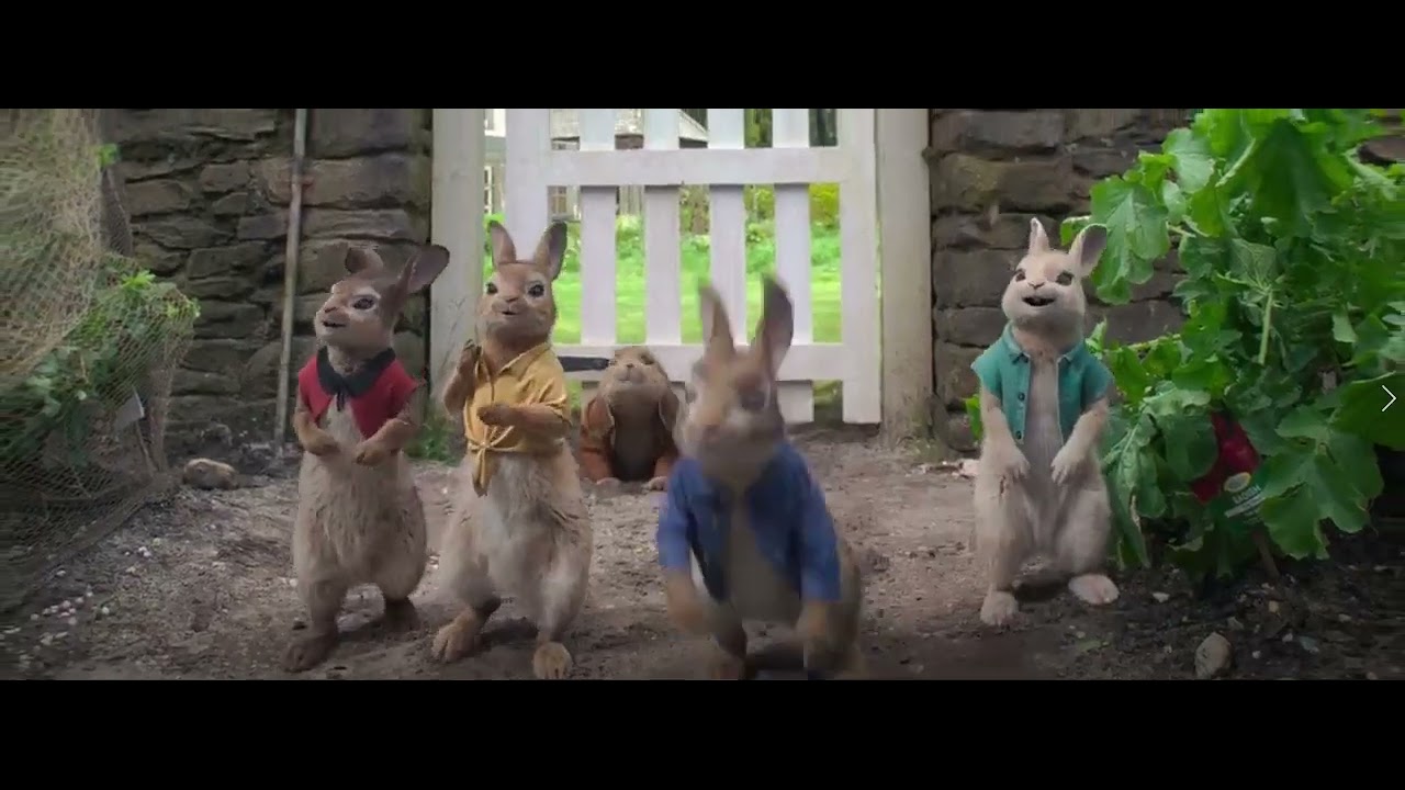 Peter. Rabbit Funny Moments..... - YouTube