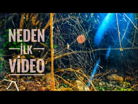 İlk Video Nostalji | Yıl 2018