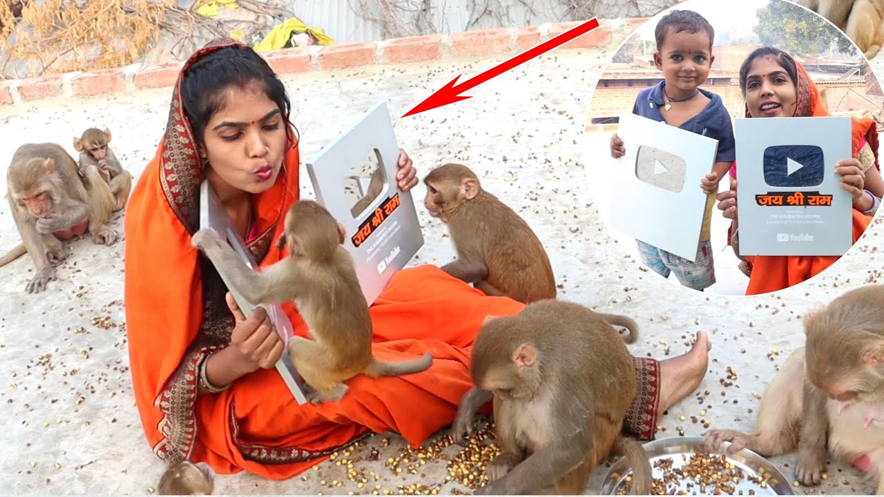 Silver Play Button के साथ वानर सेना की जबरदस्त मस्ती😂😂| Monkeys Very ...