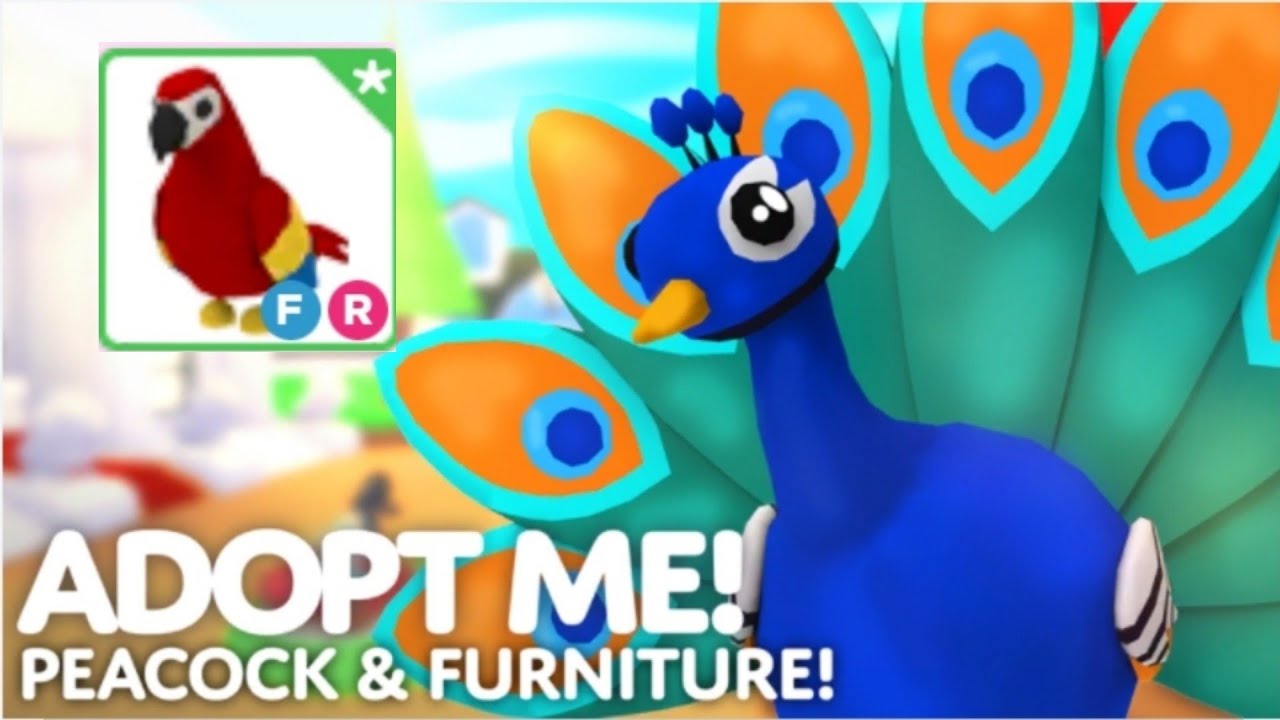 Roblox Adopt Me Fly Ride Parrot Offers - YouTube