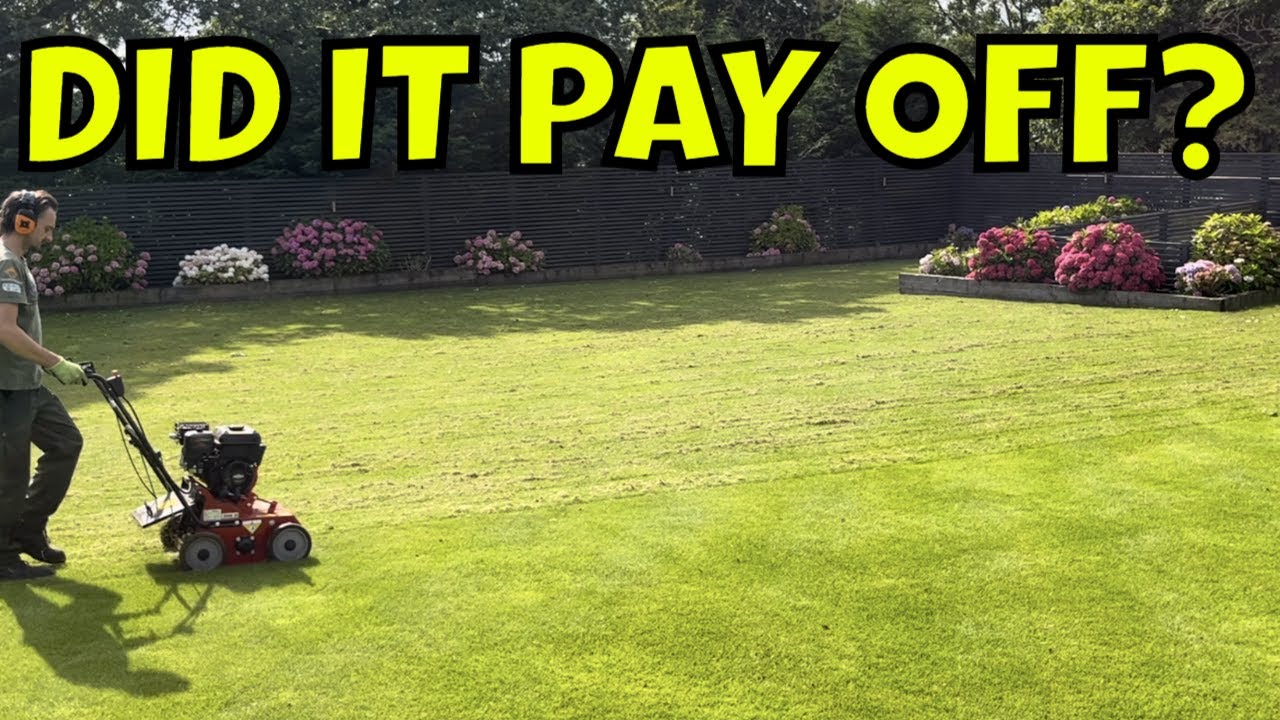 Latest Tips and Info - Daniel Hibbert Lawn Expert