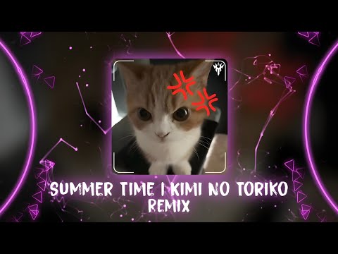 Kimi No Toriko Remix (Hot TikTok 2026) | Summer Time Remix TikTok - Nu Remix | Nhạc Nền Hot TikTok 