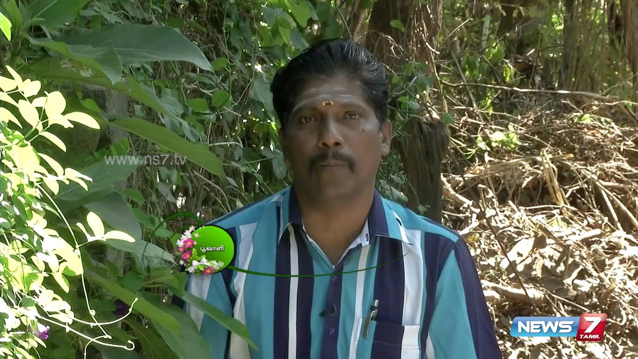 Silanthi Nayagam is a remedy for heat boils | Poovali | News7 Tamil ...