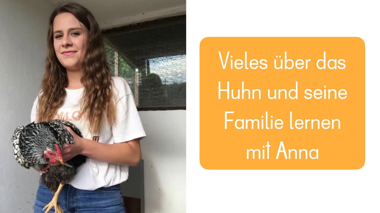 Vieles über das Huhn und seine Familie lernen mit Anna - YouTube