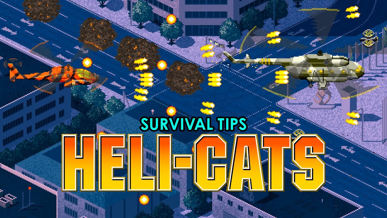 Heli-Cats Survival Gameplay - YouTube