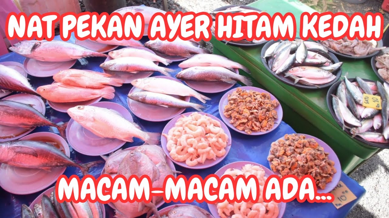 Nat Pekan Ayer Hitam, Kedah. - YouTube