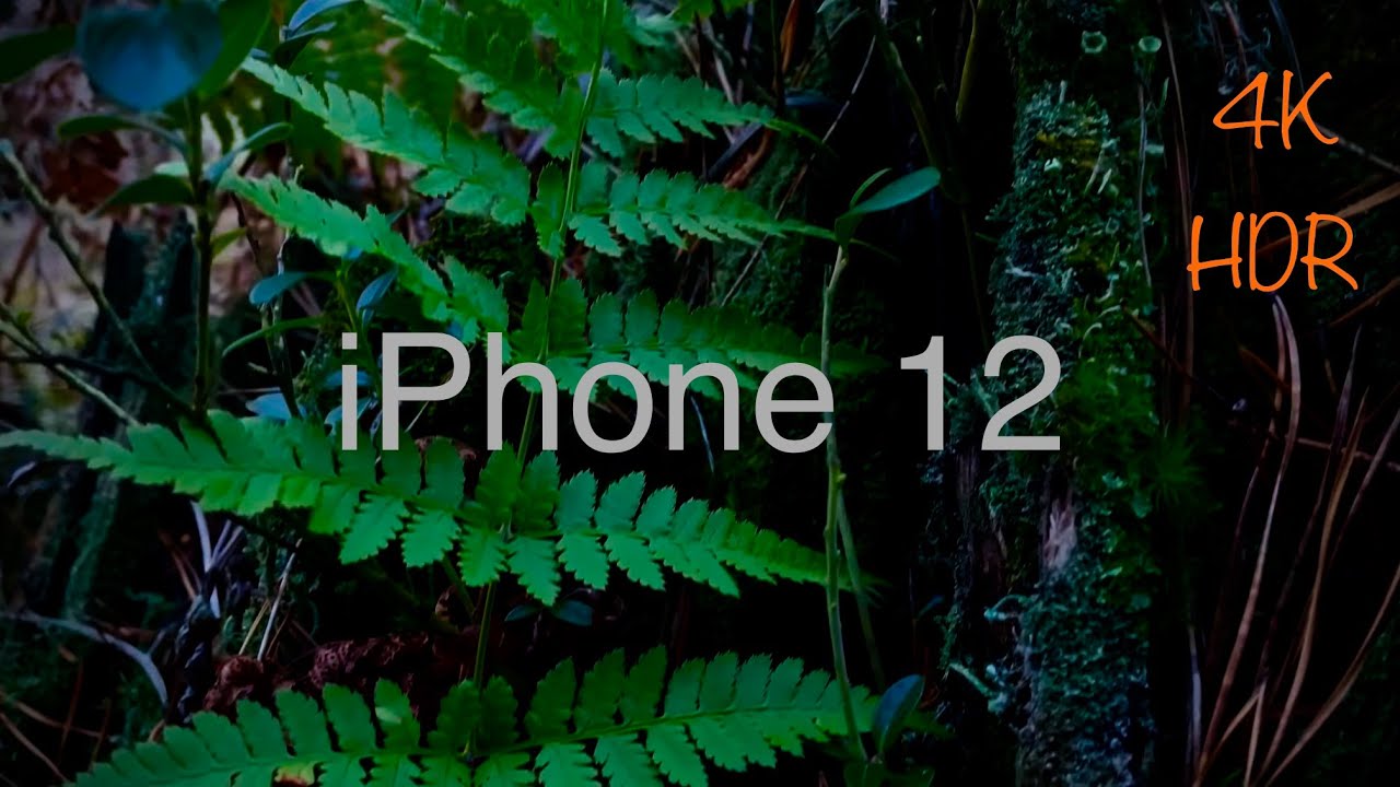 iPhone 12 Cinematic 4K HDR - YouTube