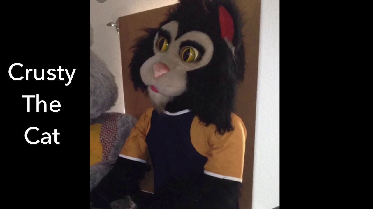Extinct Animatronics From Chuck E Cheese Youtube
