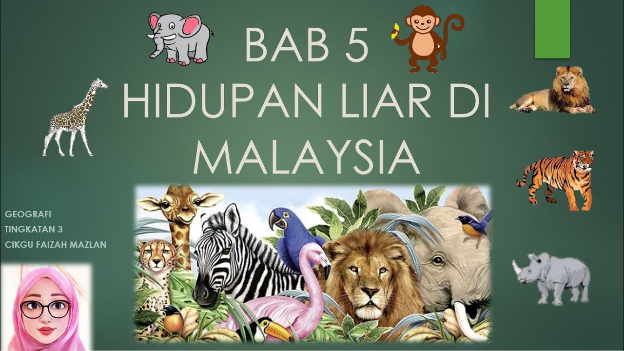 BAB 5 – HIDUPAN LIAR DI MALAYSIA - YouTube