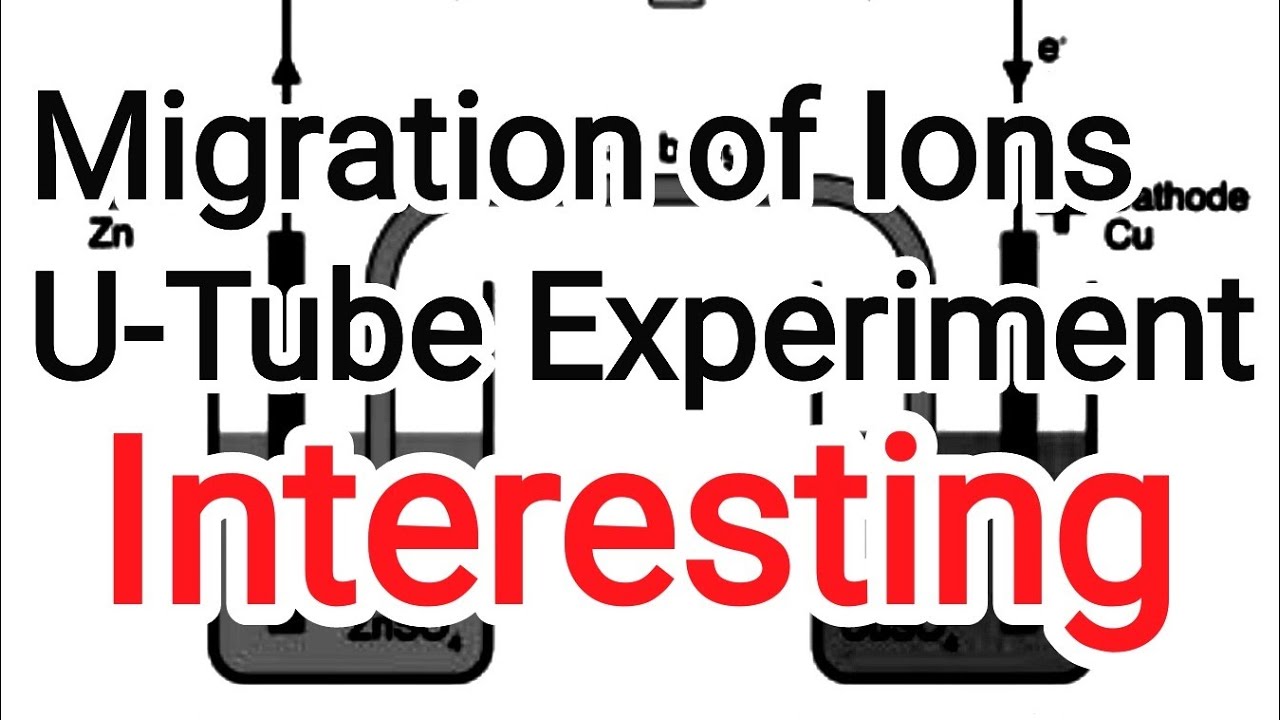 Lec-15| Migration of ions| U-Tube Experiment| Electrochemistry| BSc ...
