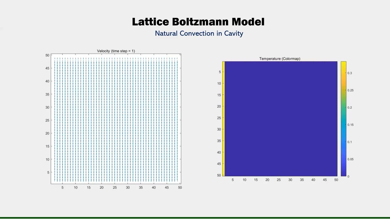 LBM Simulation for Natural Convection (feat. Jiho Kim) - YouTube
