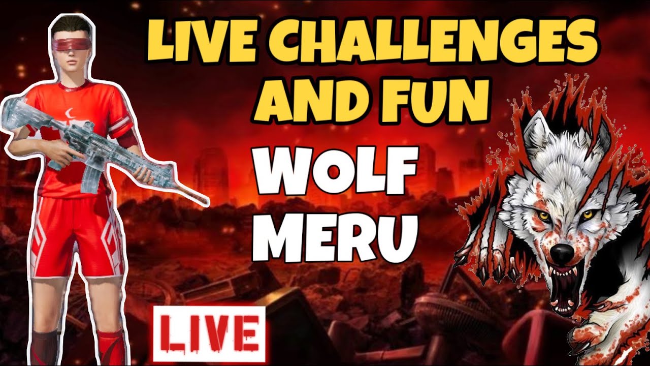 Live Challenges And Fun With Wolf Meru - YouTube