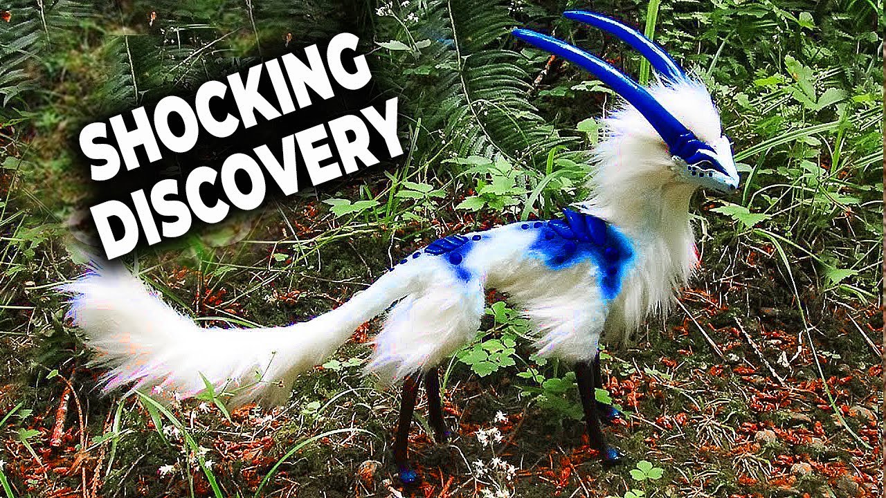 10 Most Unique Animals You Won’t Believe Actually Exist - YouTube