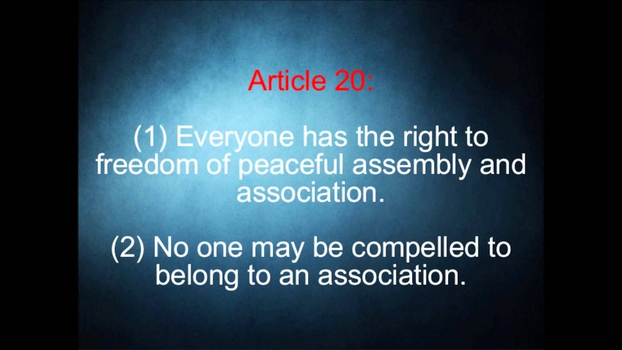 UDHR Universal Declaration Of Human Rights Article 20 - YouTube
