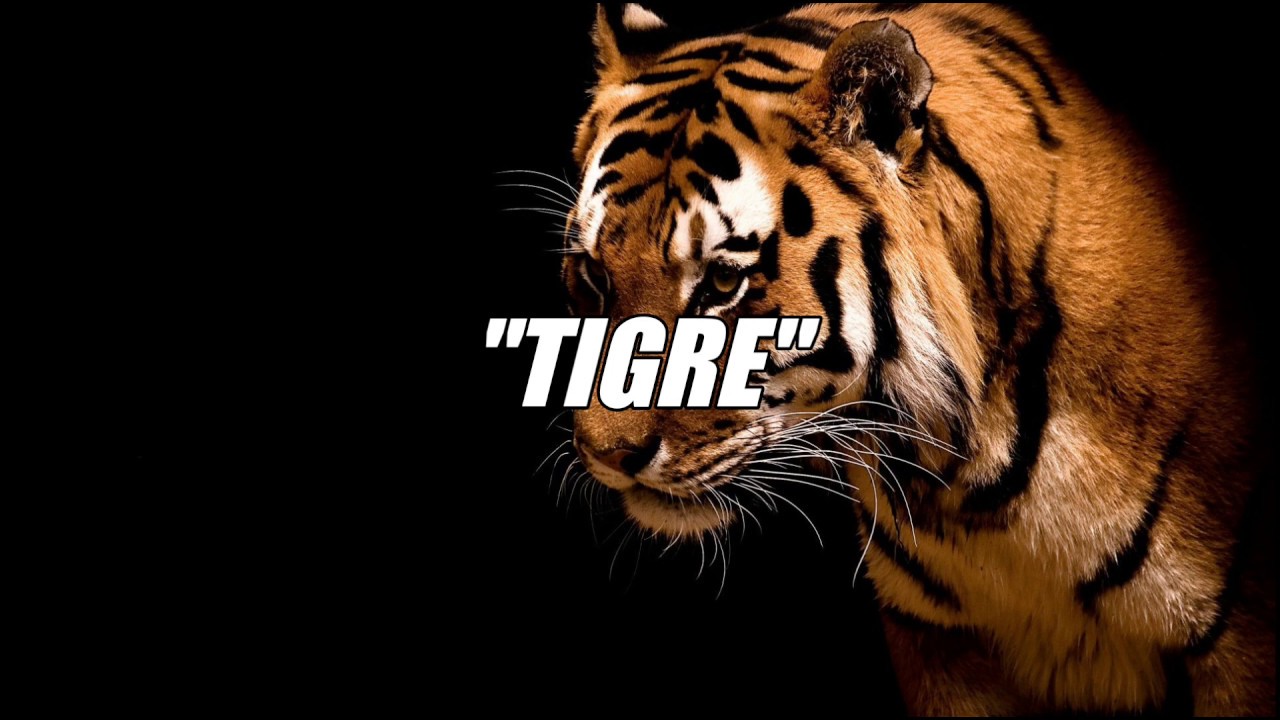 [Lourd] Instru Rap français 2019 - "TIGRE" Rap Instrumental (Prod. By ...
