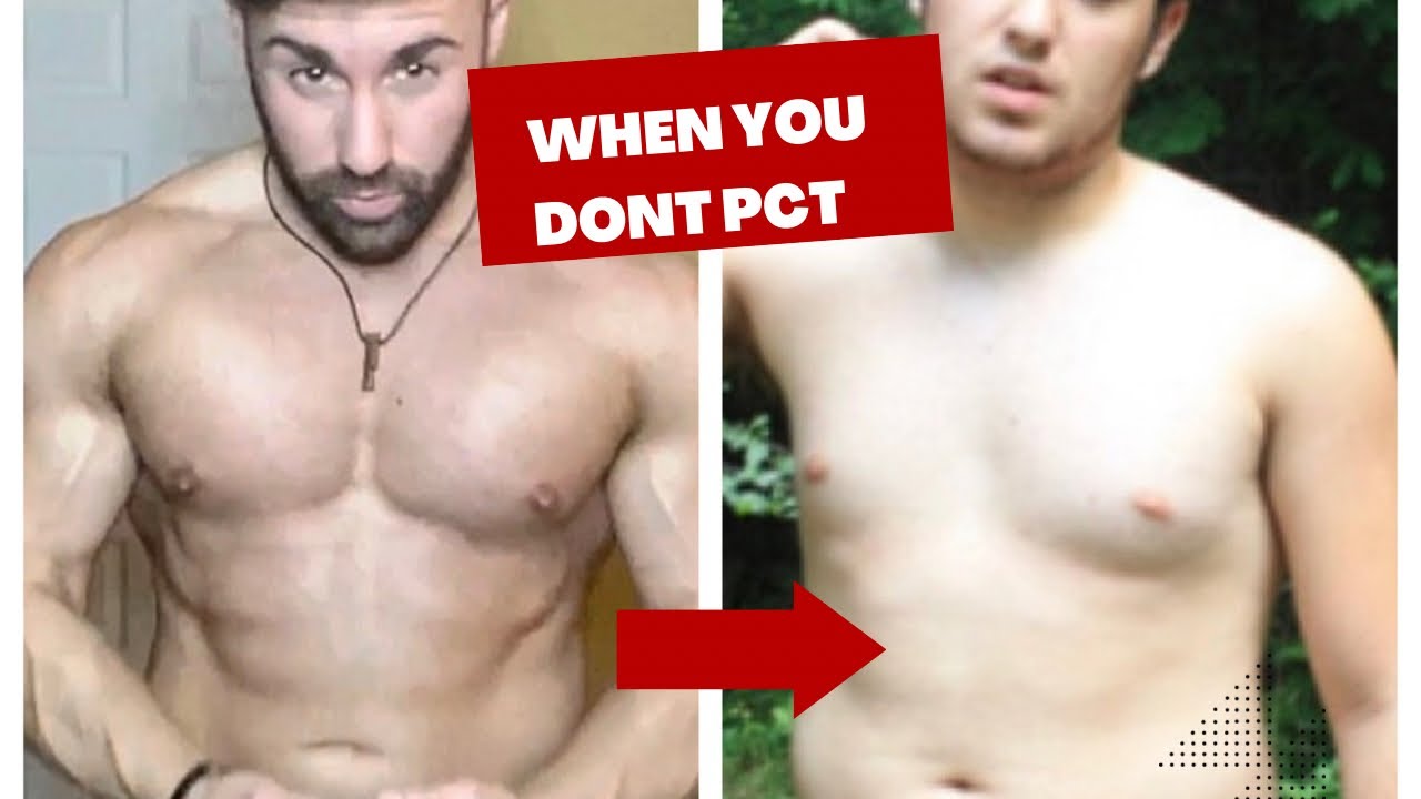 Why you must ALWAYS PCT (post cycle therapy) and how to do it properly ...