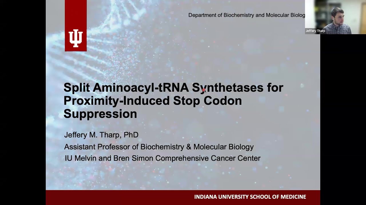 Split aminoacyl-tRNA synthetases for proximity-induced stop codon ...