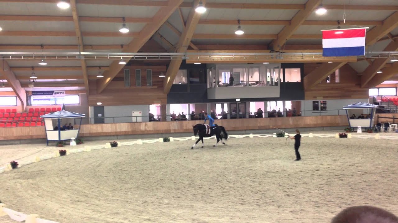 Viktor Brüsewitz CVI Ermelo 2014 - Pflicht - YouTube