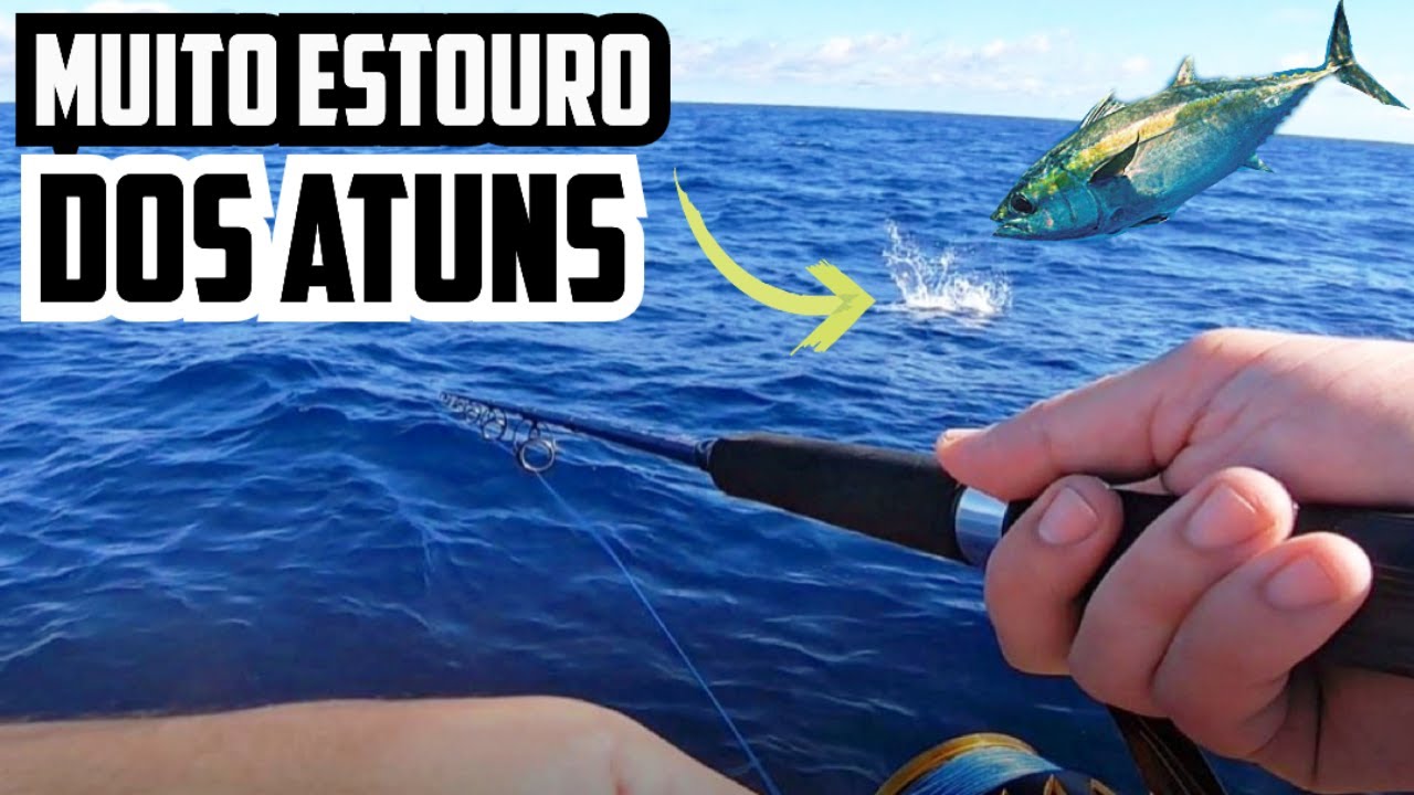 PESCARIA de ATUM na SUPERFÍCIE - YouTube
