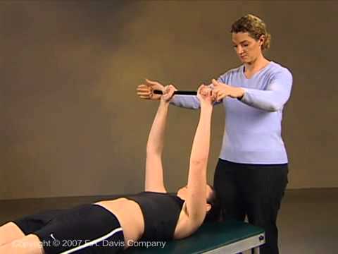 Kisner Ch16 16 23 Alternating Isometrics for Trunk Stabilization 1611 ...