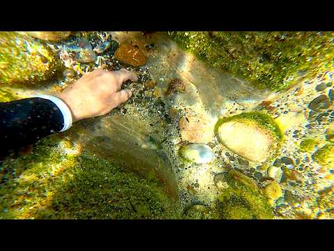 3 BULLETS From GUN Found with $11,000 of Jewelry!!