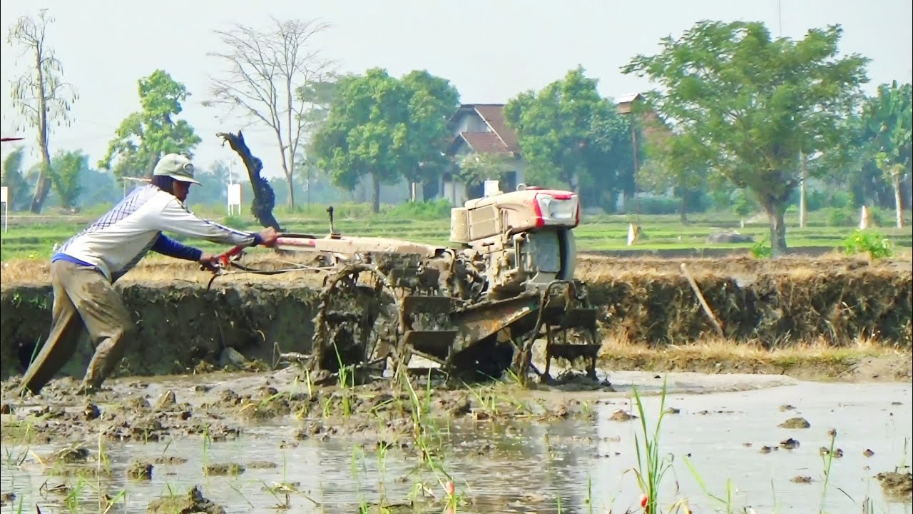 The process of leveling the land in deep muddy rice fields - YouTube