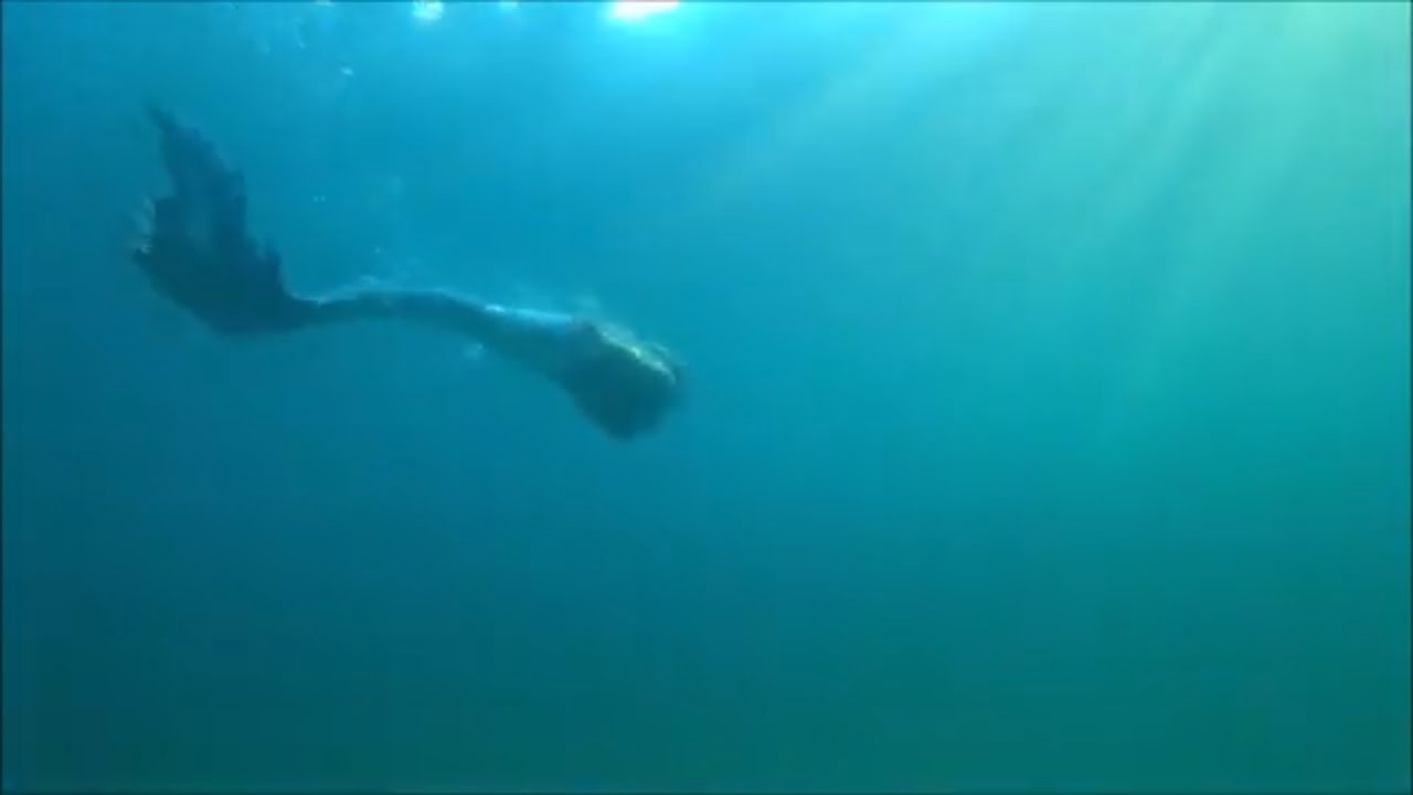 The FIRST Mermaid Video of 2019! A Magical 2018 Year in Review ♥ Videos ...