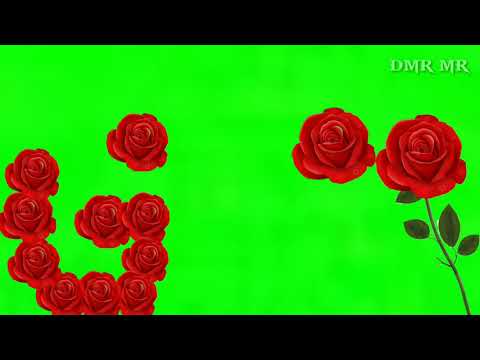 Green screen video//g name tiktok trend download