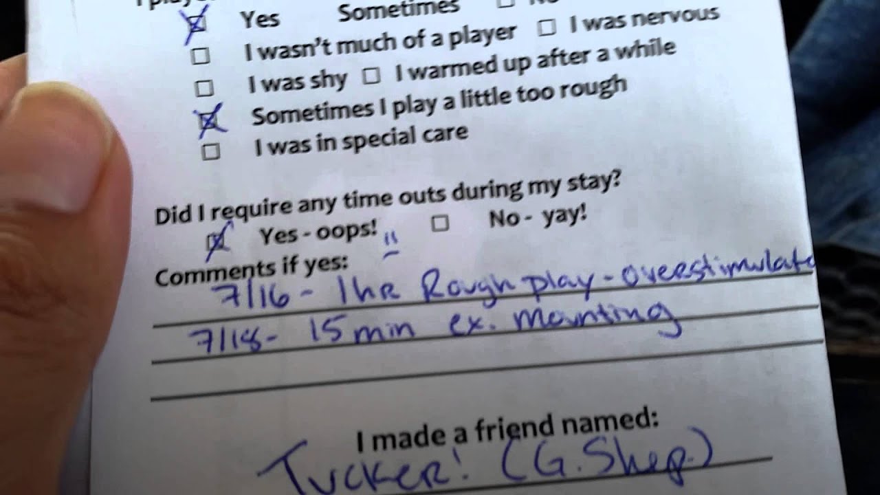 Duke's Report Card (overall) | Wag Hotel Sacrament - YouTube